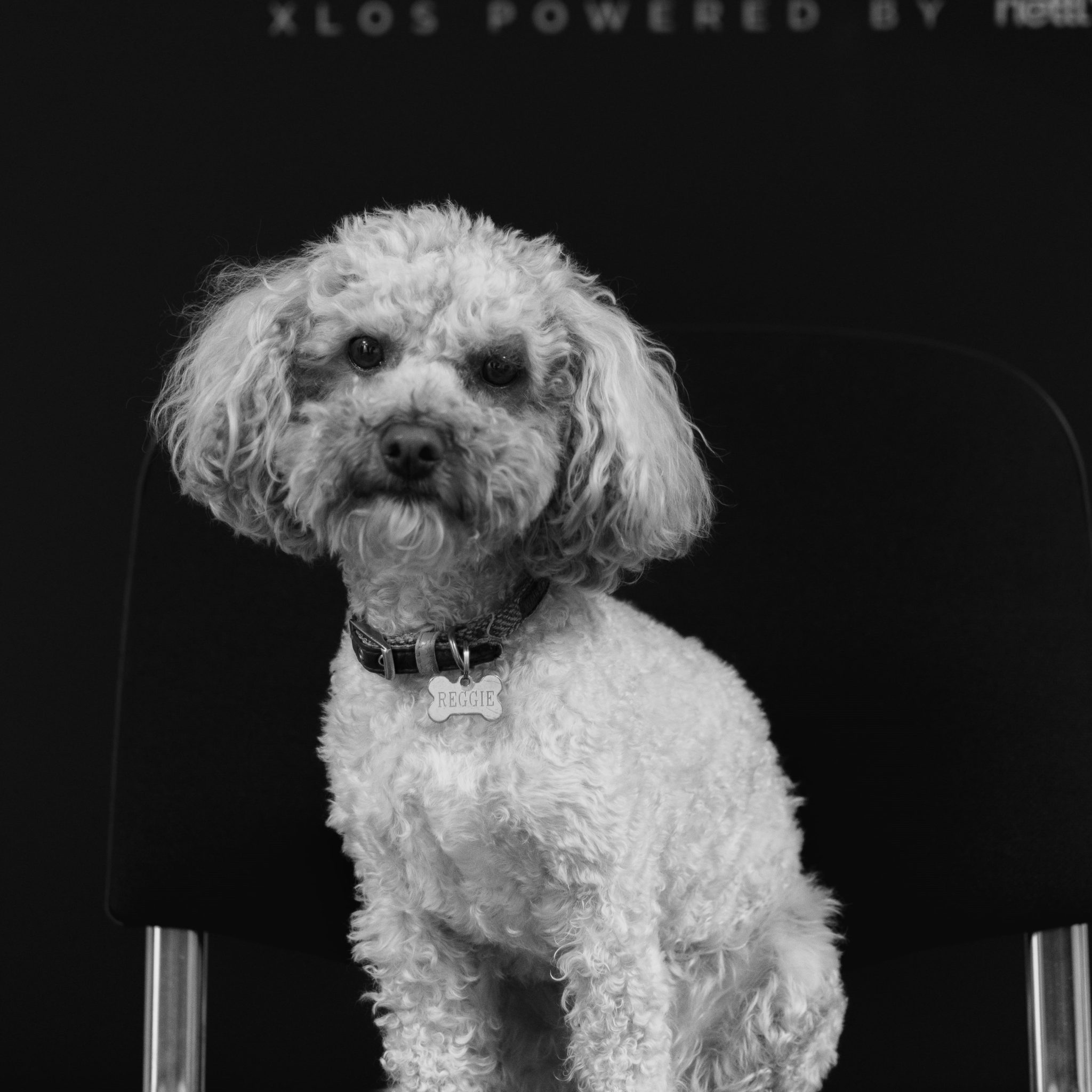 Meet The Team - XL Office Solutions